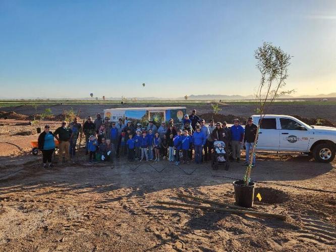 Yuma state parks admitted over 60K visitors in 2024 - Colorado River ...